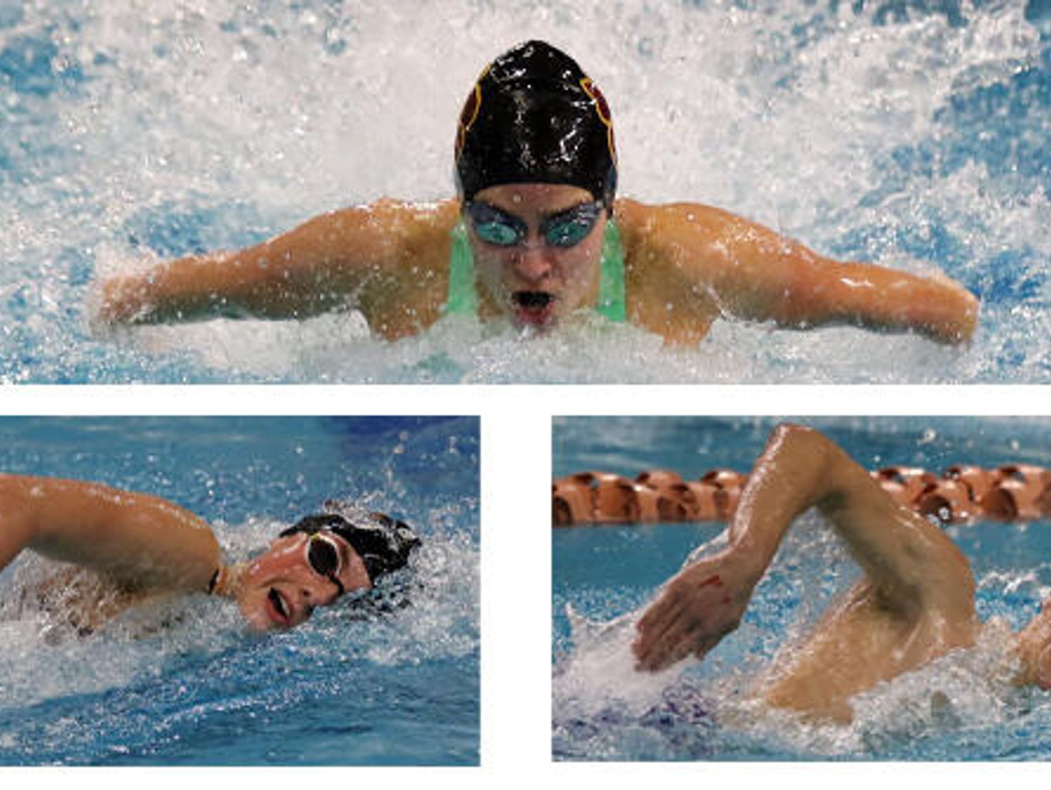 Tigers dive into state swim meet